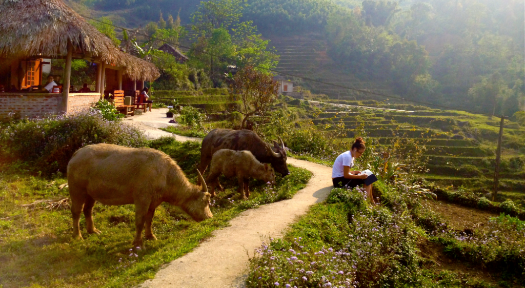 About - Capacity Building Program for US Study Abroad